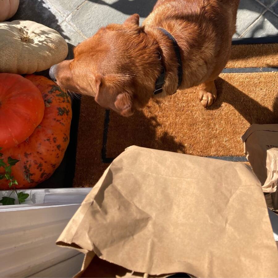 The Strudwick File: It’s More of a ‘Strudwick Saga’ This Week – Megyn Kelly