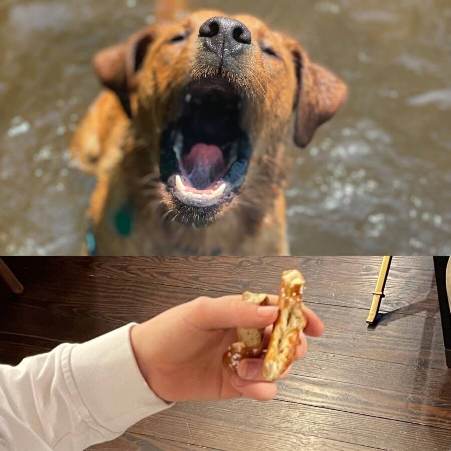 The Strudwick File: Snack Stealer – Megyn Kelly