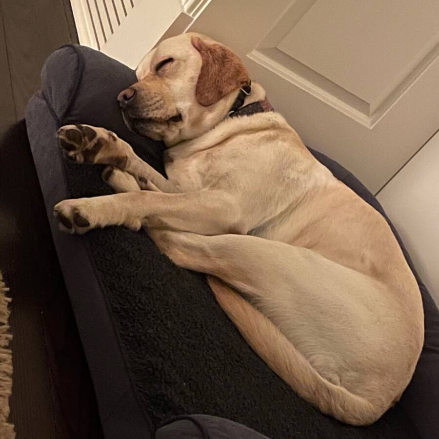 The Strudwick File: Thunder Steals the Show – Megyn Kelly