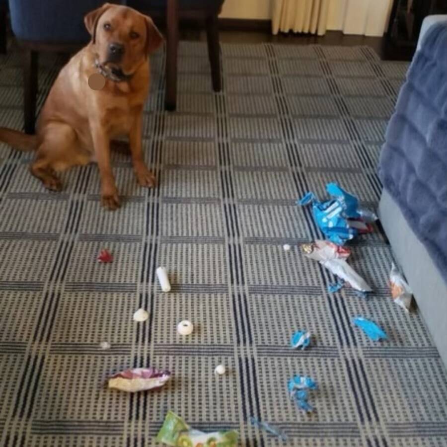 The Strudwick File: Another Banner Week for Strud – Megyn Kelly