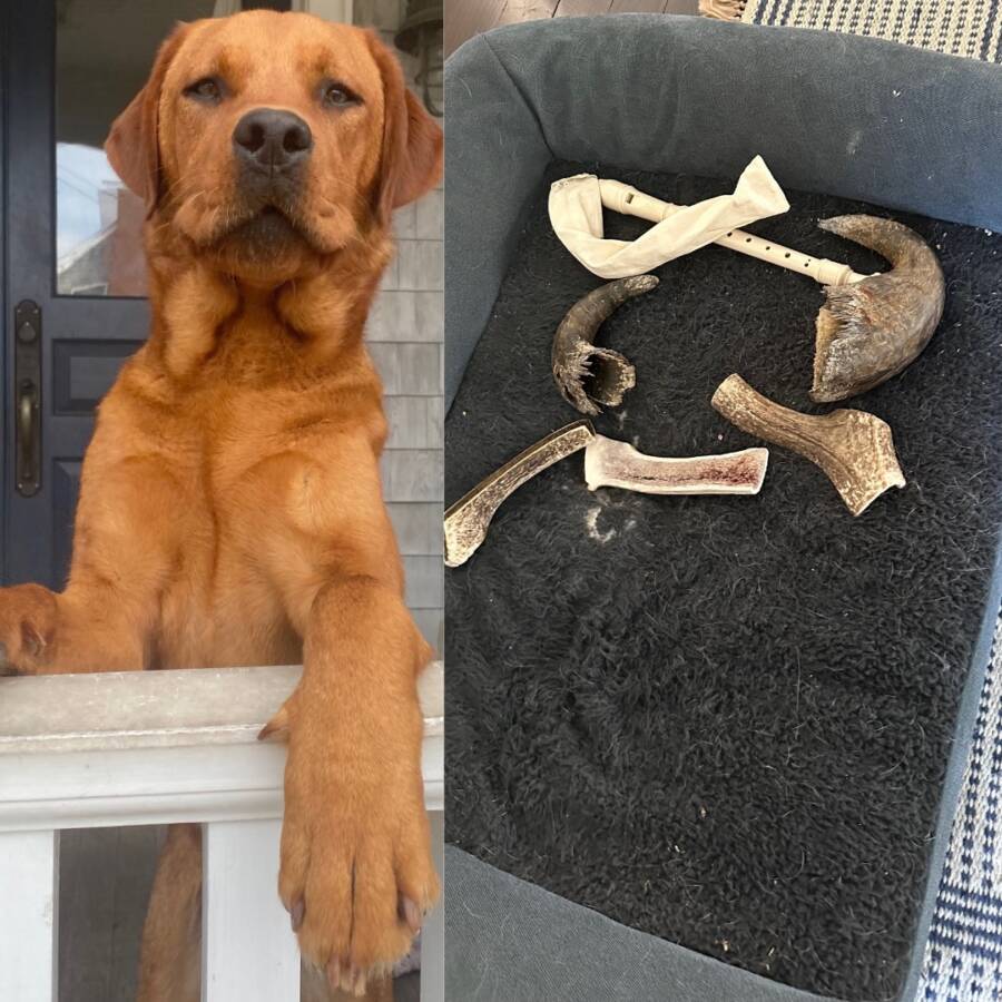 The Strudwick File: One of These Things Is Not Like The Other – Megyn Kelly