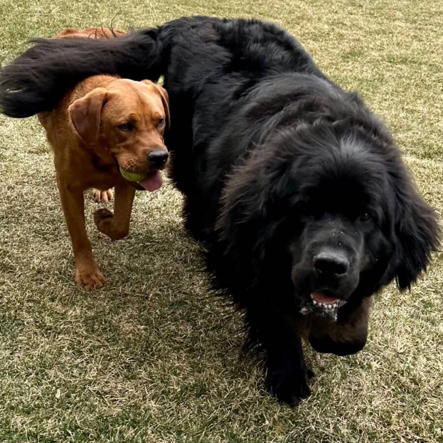 The Strudwick File: Strud Finds a Friend – Megyn Kelly