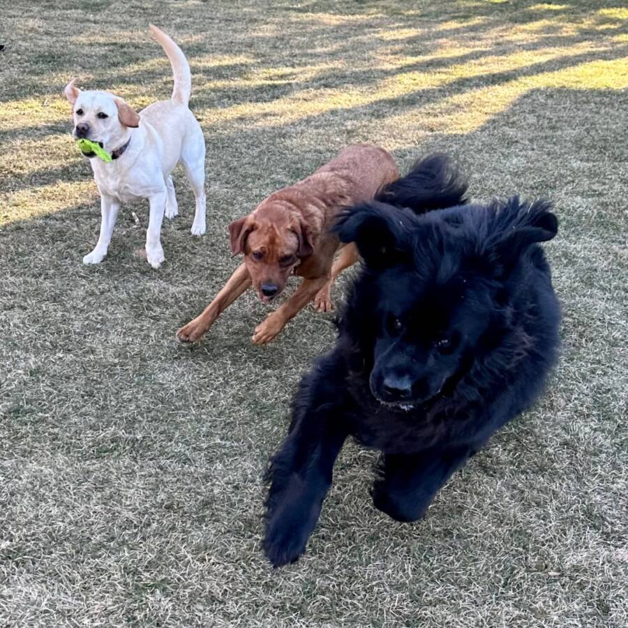 The Strudwick File: Strud Finds a Friend – Megyn Kelly