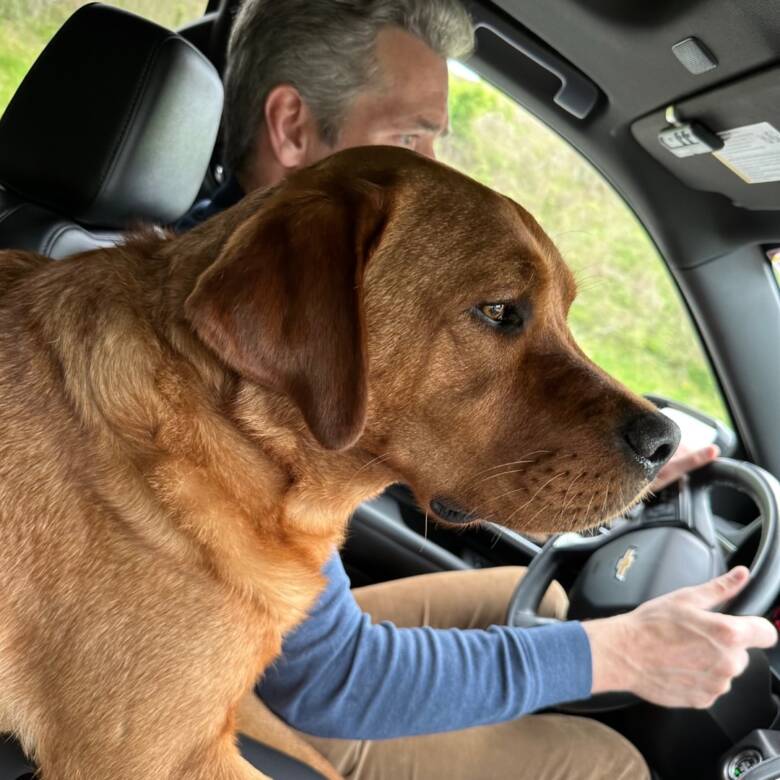 The Strudwick File: Breaking and Entering – Megyn Kelly