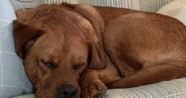 The Strudwick File: Looks Can Be Deceiving – Megyn Kelly