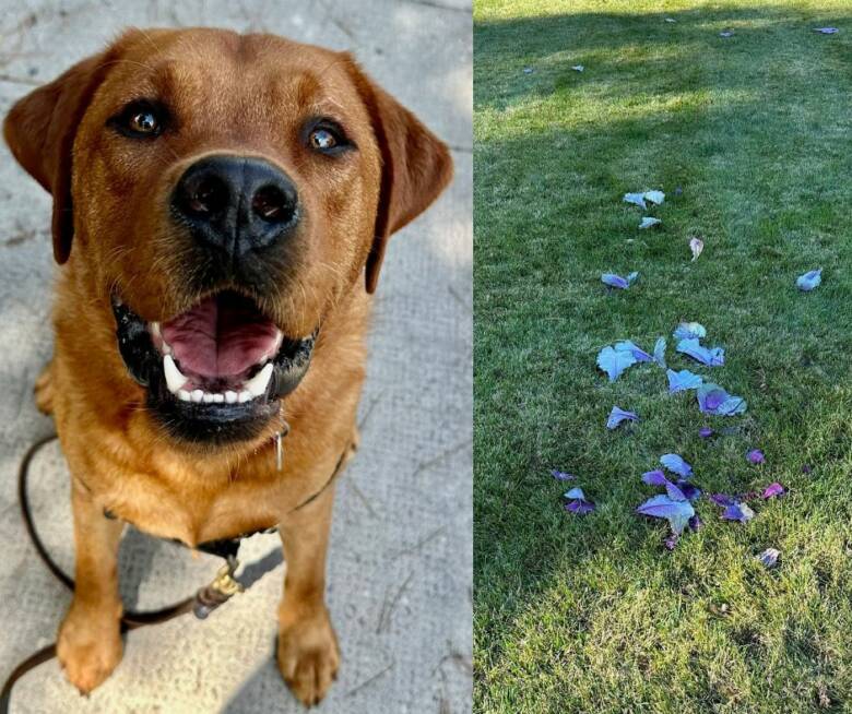 The Strudwick File: Falling for Fall Foliage, Part V – Megyn Kelly