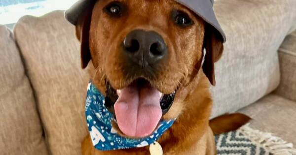 The Strudwick File: Pack and Play – Megyn Kelly