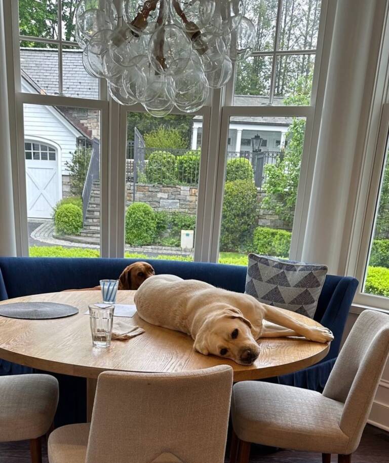 The Strudwick File: Thunder Stands Guard – Megyn Kelly