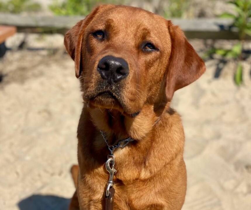 The Strudwick File: Strud’s Summer Saga, Part I – Megyn Kelly