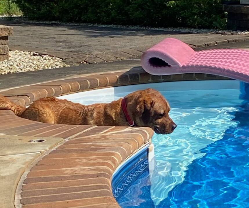 The Strudwick File: Strud’s Summer Saga, Part II – Megyn Kelly