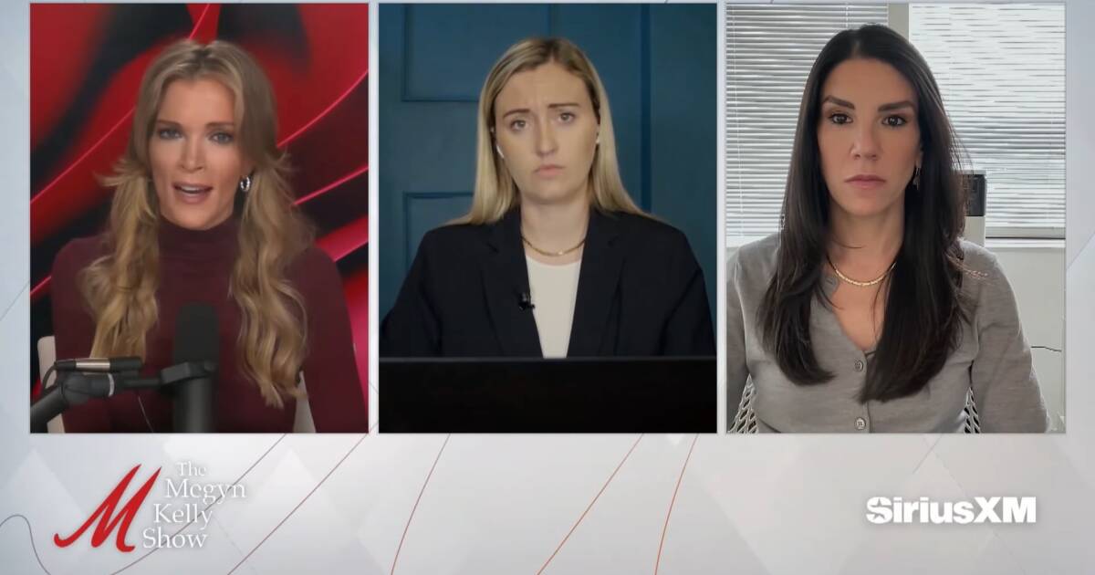 Breaking Down the Plausibility of the ABC News Whistleblower’s Claims ...