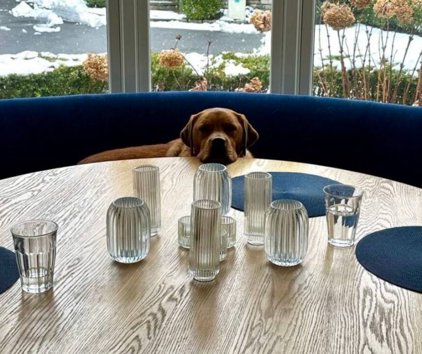 The Strudwick File: Early Bird Special – Megyn Kelly