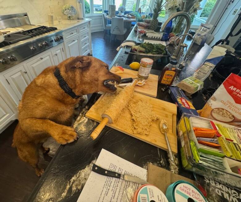 The Strudwick File: Strud’s Star Turn – Megyn Kelly