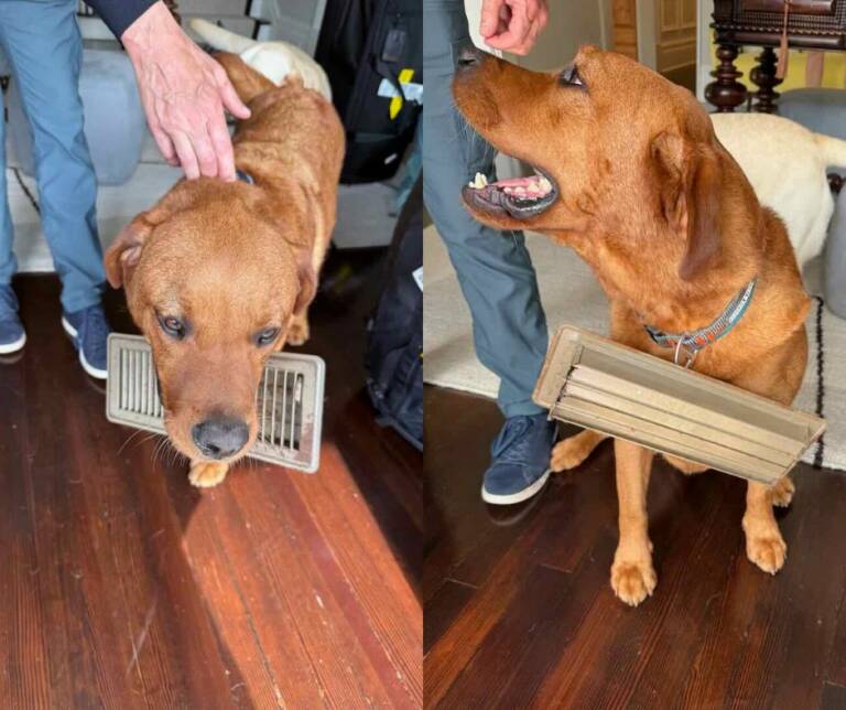 The Strudwick File: A Charmed Life – Megyn Kelly