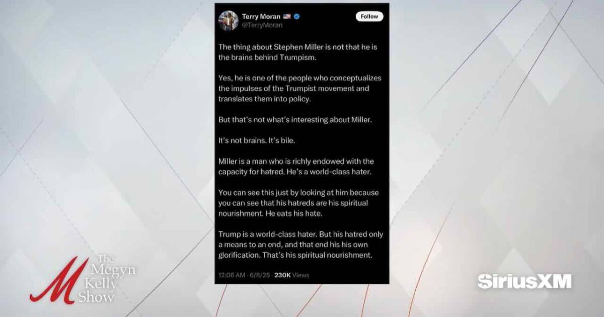 ABC News ‘Journalist’ Suspended for Late Night X Rant Attacking Donald ...