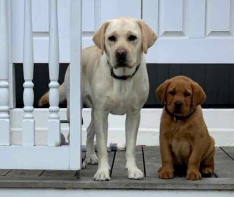 The Strudwick File: The Time Machine, Part I – Megyn Kelly