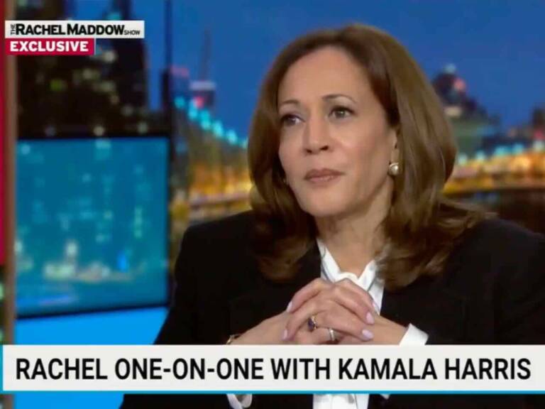 Kamala Harris Is Getting Slammed by Democrats as She Promotes New ...