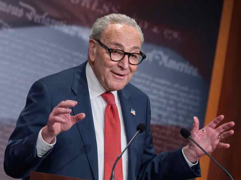 Chuck Schumer Facing Mounting Pressure to Step Down as Minority Leader ...